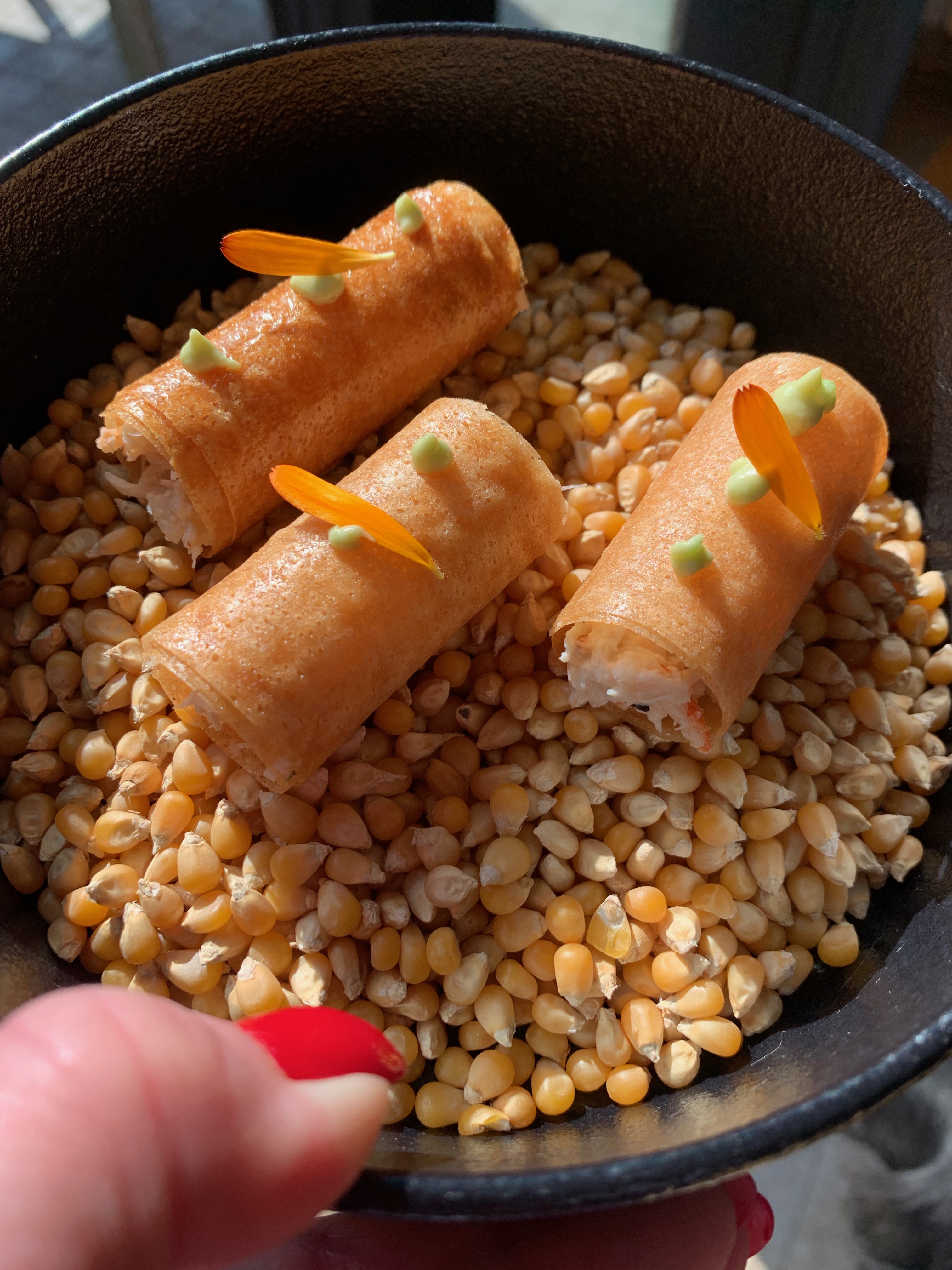 Knapperige Brickdeeg Rolletjes Met Krab & Avocado – Ann(a) in de keuken